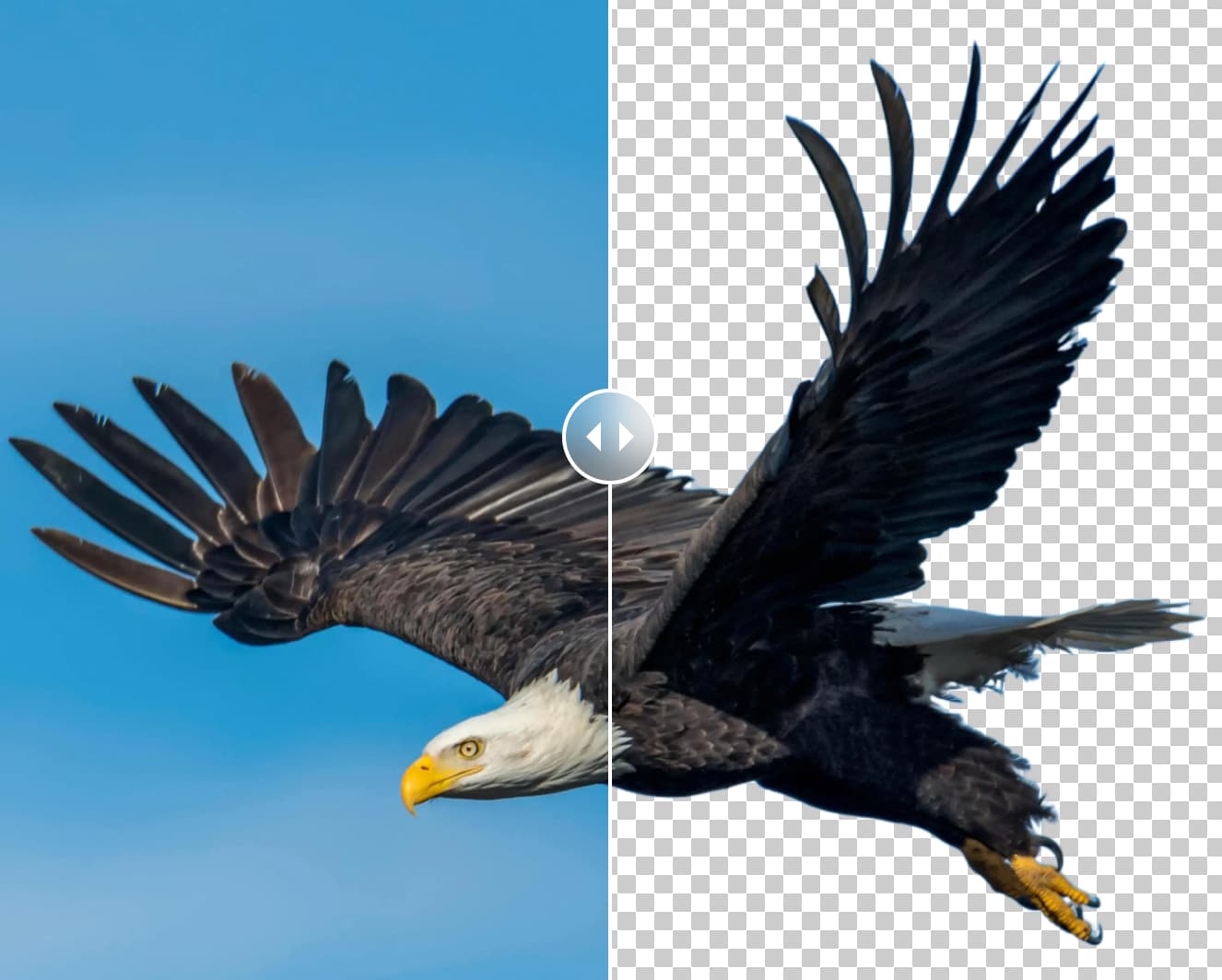BgGone - Free AI Background Remover. Free, Batch, No Login, No Quality Loss